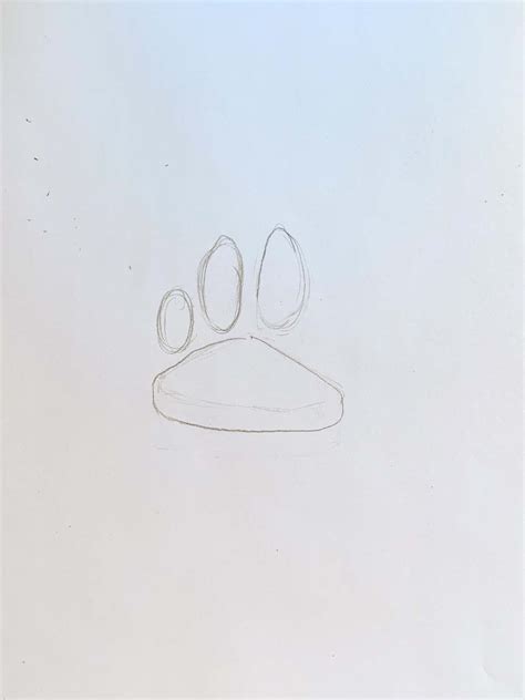How To Draw A Paw Print