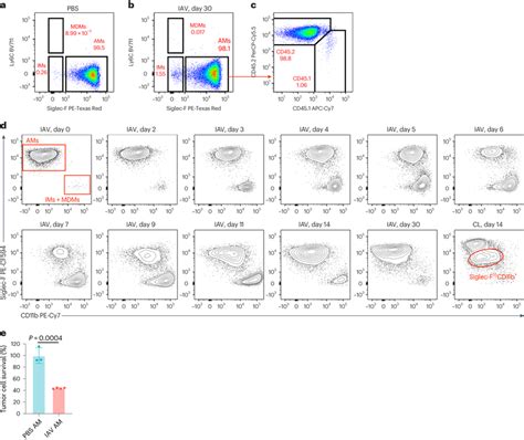 Iav Trained Ams Develop Independently Of Circulating Monocytes Ac