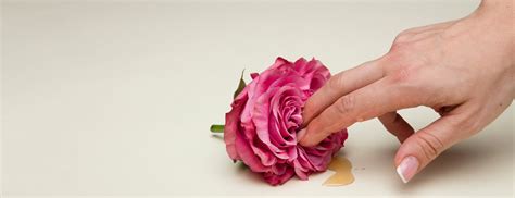 Embarrassment — Sex Debbie