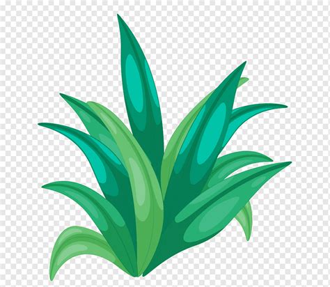 일러스트 푸른 잔디 잎 잔디 일러스트 레이터 Png Pngwing