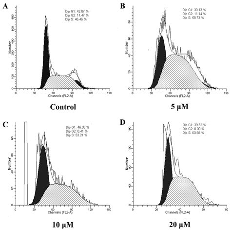 Design And Synthesis Of Novel Dehydroepiandrosterone Analogues As