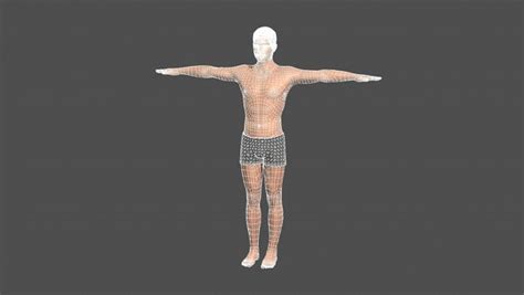Rigged T Unity D Turbosquid