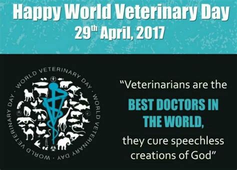 Pin Di Cortney Group Su Veterinary Medicine