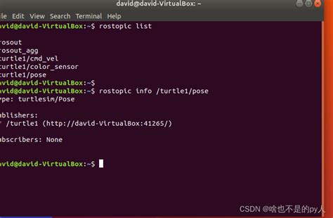 ros通信实操（小乌龟通信实现）（九）c 、python 采用参数通讯方式 编写一个节点 控制乌龟的的颜 色和绘制的线条 乌龟相关信息在