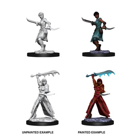 Nolzurs Marvelous Miniatures Female Human Rogue Boardgamesca
