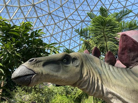 Mitchell Park Is Going Jurassic As Dinosaurs Head To The Domes