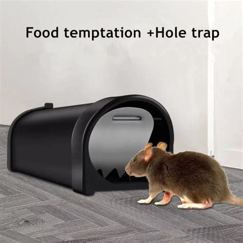 Piège nuisible Piège à souris en bois à boucle infinie outil domestique en forme de seau tueur