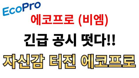에코프로비엠 긴급 공시 떳다 자신감 터졌나 미쳤는데 Youtube