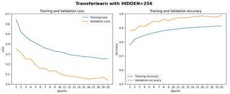 Finetuning Tensorflowkeras Networks Basics Using Mobilenetv2 As An