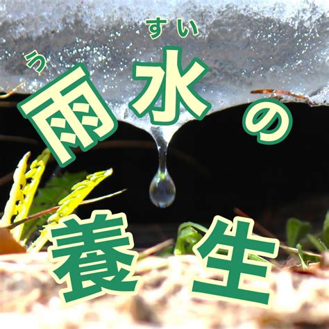 二十四節気：雨水の養生 鍼灸・接骨院 白澤堂hakutakudou