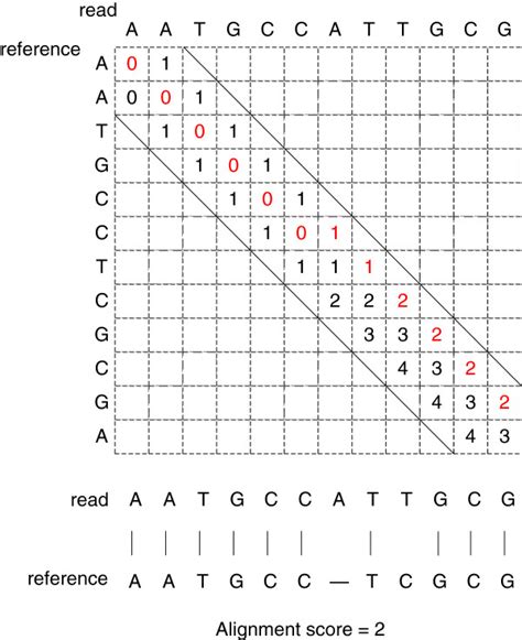 The Conventional Banded Semi Global Alignment Between Two Sequences Download Scientific Diagram