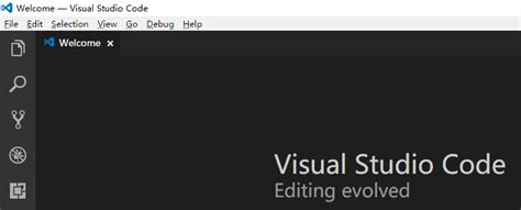 Why Is There No Chinese After The Update · Issue 28268 · Microsoftvscode · Github