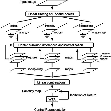 General Architecture Of The Model Low Level Visual Features Are