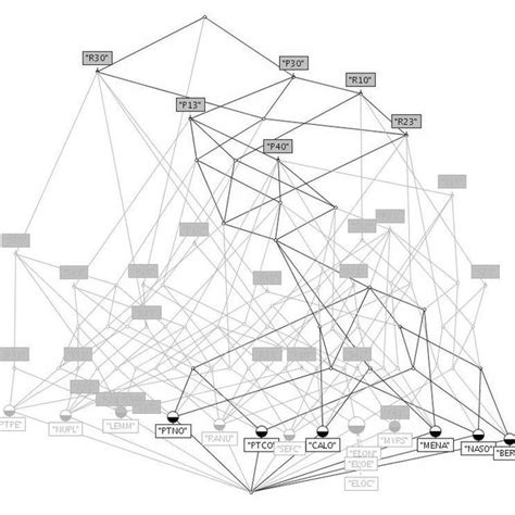 The Galois Lattice Built From Three Traits Of The Pattern Table Download Scientific Diagram