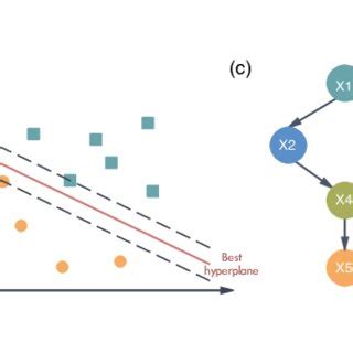 Examples Of Supervised Learning A A Decision Tree B A SVM C A
