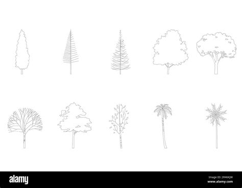 Landscape Design Plant Symbols Garden Landscape Designgarden