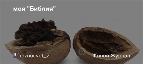моя "Библия": white_dove_bird — LiveJournal