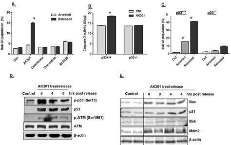 A Apoptosis Of Cells Exiting Mitotic Arrest HCT116 Cells Treated With