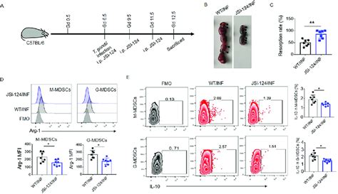 Jsi 124 Inhibits Decidual Mdscs Activation During T Gondii Infection