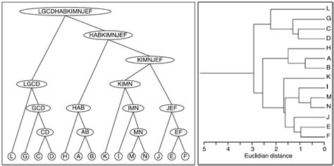 K Means Vs Hierarchical Clustering What Is Better Buggy Programmer