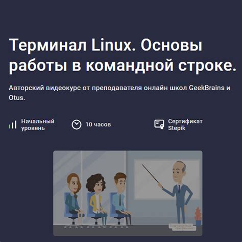 [stepik] Терминал Linux Основы работы в командной строке 2024