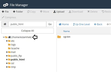 WordPress Speed Optimization By 200 Using Htaccess Command