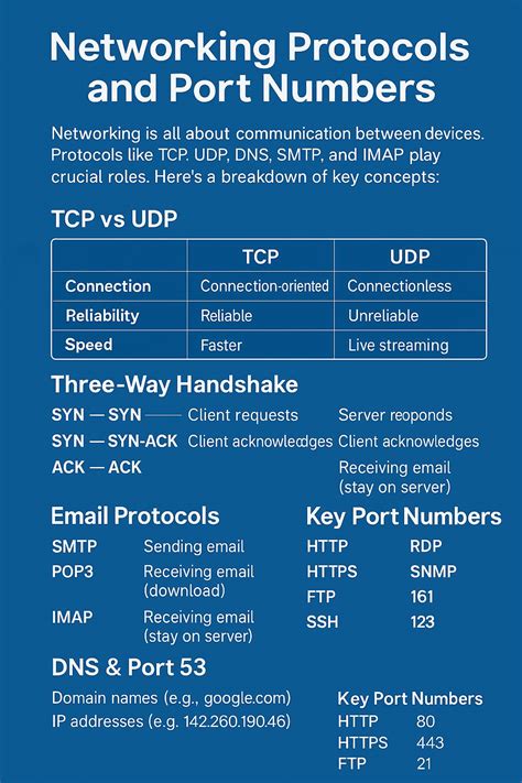 networking cybersecurity itskills networkingbasics tcpudp dns