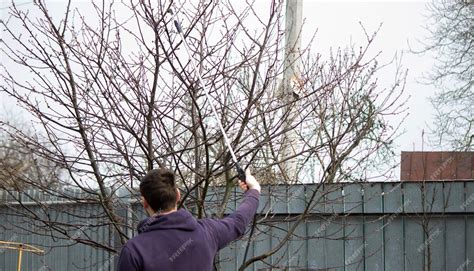 Premium Photo Spraying Trees From Pests With Chemical Or Ecological Means Spraying Detail