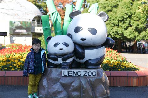 東京親子景點｜上野動物園 X 北極熊、熊貓超可愛。意外遇到超美的銀杏、楓葉 洛基小聿媽