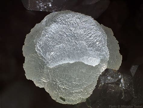 Prehnite Obří Důl Krkonoše Mtn Hradec Králové Region Bohemia