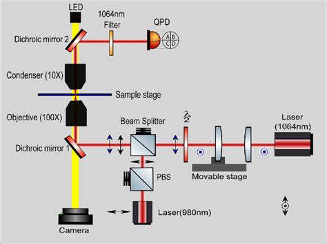 The Schematic Of The Experimental Setup Spherical Birefringent