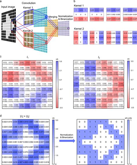 Implementation Of Edge Detection A Schematic Illustration Of The Download Scientific Diagram