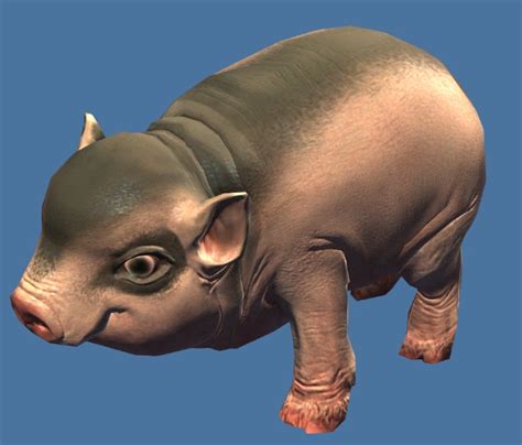 Mini Ferkel Guild Wars 2 Wiki