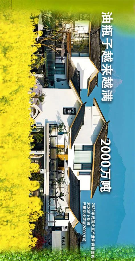 “丰”景如画，“丰”年有她！农民丰收节来啦 知乎