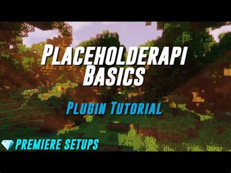 How To Use PlaceholderAPI Plugin Tutorial YouTube