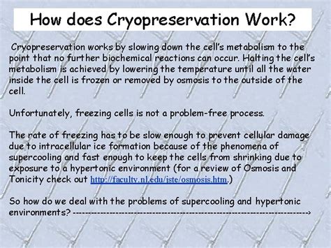 A Test Of Different Cryopreservation Methods On Members