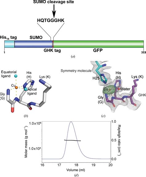 Iucr The Copperii Binding Tripeptide Ghk A Valuable