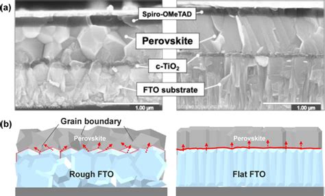 致密tio2界面修饰对钙钛矿太阳能电池结晶度的影响 Scientific Reports X Mol