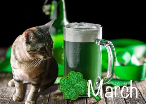 March Cat Calendar Cat Calendar Cats Mugs