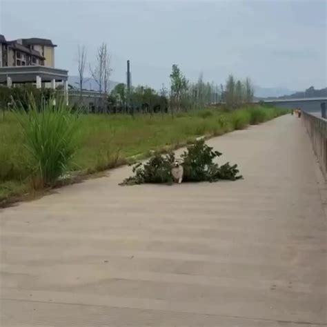 Branch Manager Working Overtime Album On Imgur