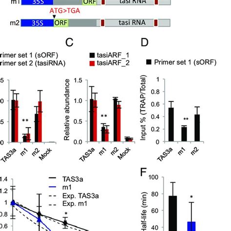 Translated Sorf Are Hidden In Lncrnas A Translation Efficiency Te