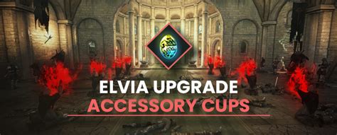 Elvia Upgrade Accessory Cups Guide Bdo Companion