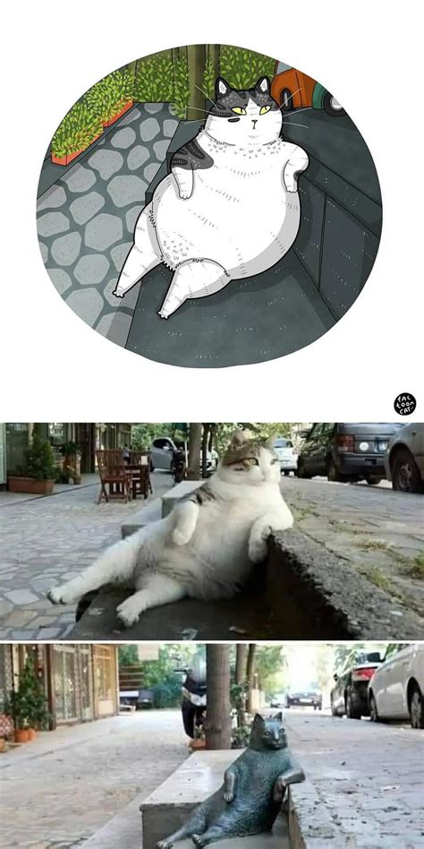 익스트림무비 고양이 그림과 실제