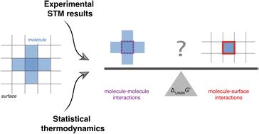 On The Origin Of Cooperativity Effects In The Formation Of Self Assembled Molecular Networks At
