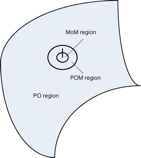 The Decomposition Of Mom Po And Pom Regions In The Hybrid Analysis