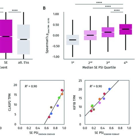 Splicing Efficiency And Increased Gene Expression Are Coupled A