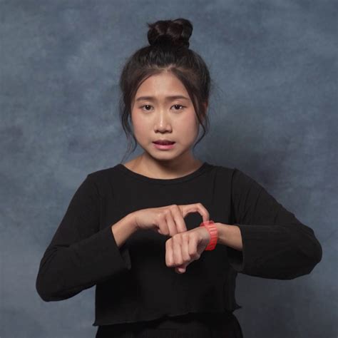 Hong Kong Sign Language Ldl Department Of Linguistics Hku