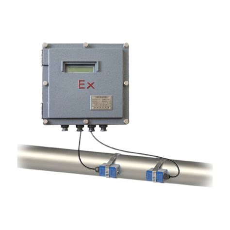 FMU Explosion Proof Ultrasonic Flowmeter SenTec