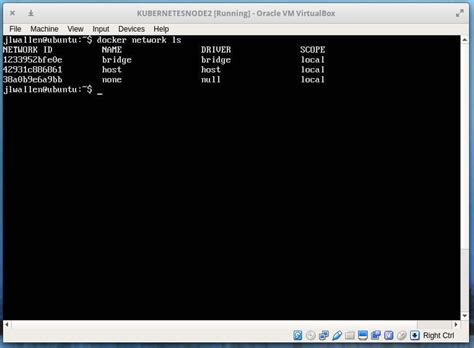 How To Create And Manage Docker Networks Eu Vietnam Business Network Evbn
