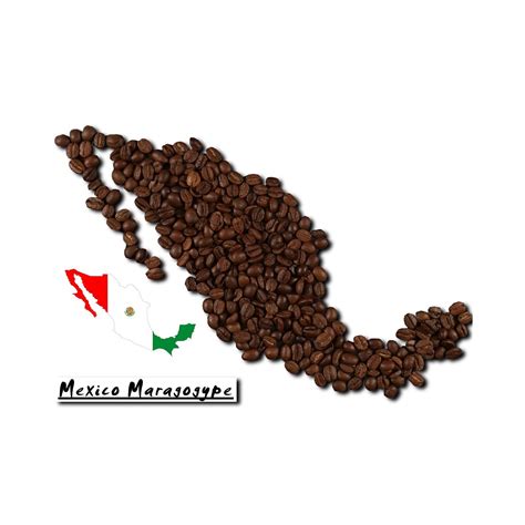 Entdecke die ganze Welt des Kaffees bei Classic Caffee ☕ - Mexico ...